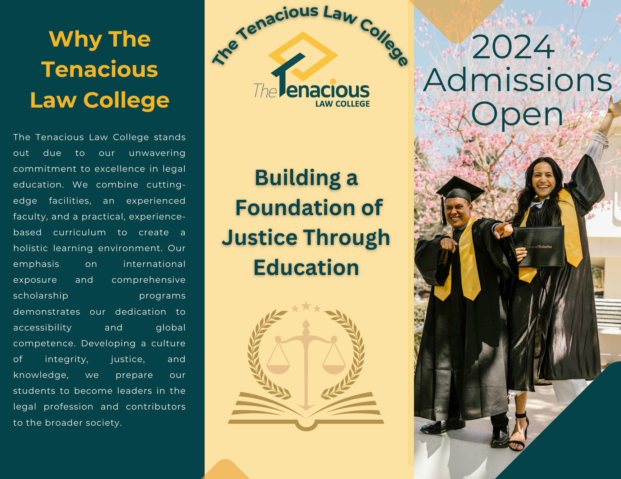 Tenacious Law College - The Tenacious International College